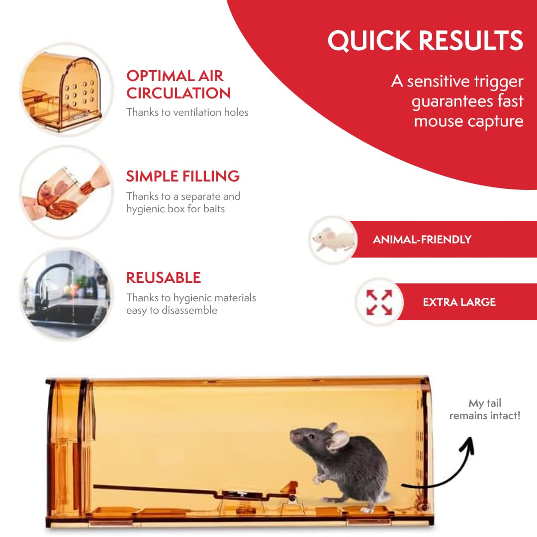 Mua PATTLER® | 2 Humane Mouse Trap for Indoor and Outdoor Home ...