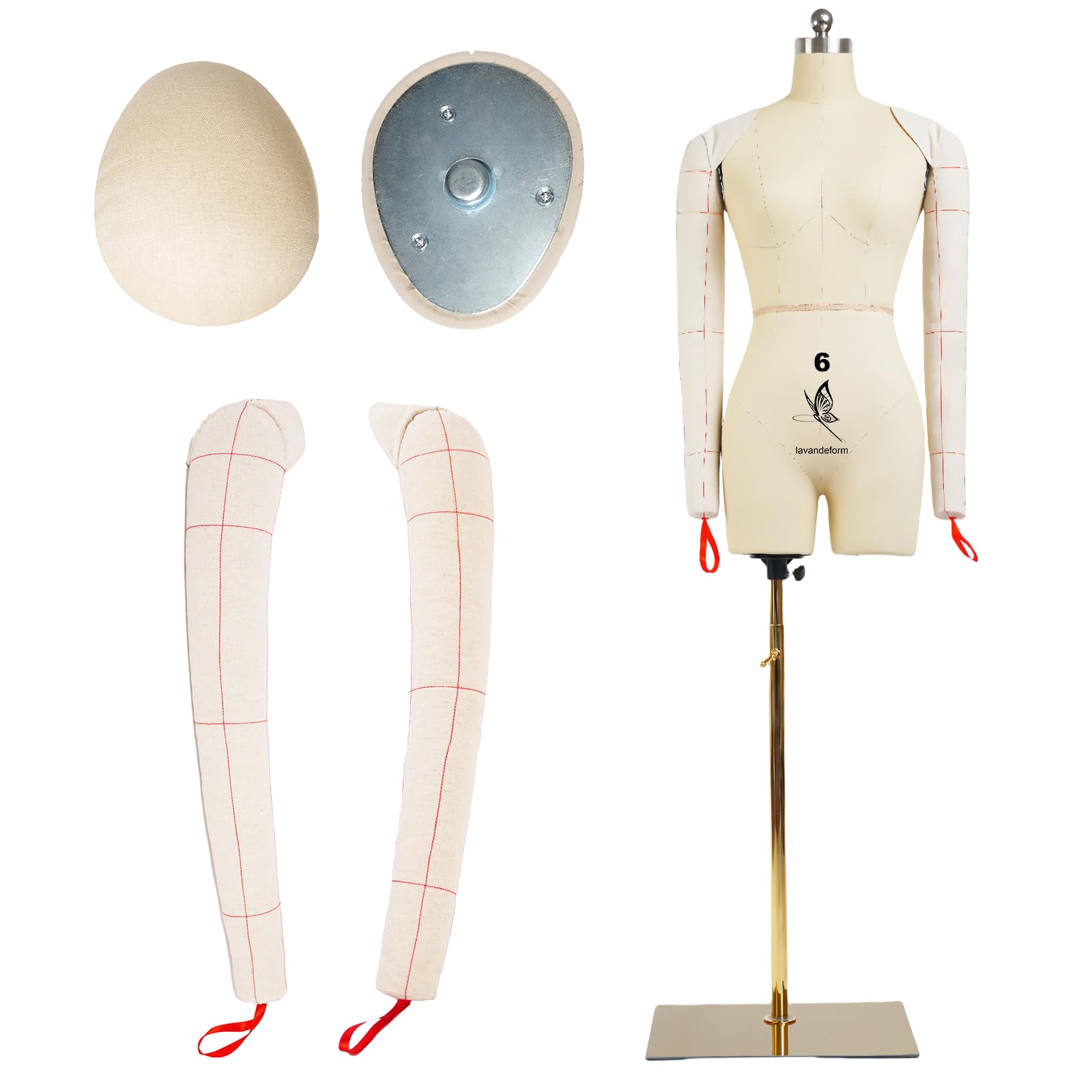 lavandeform Female Dress Model Torso Body Clothing Forms,Size 6 ...