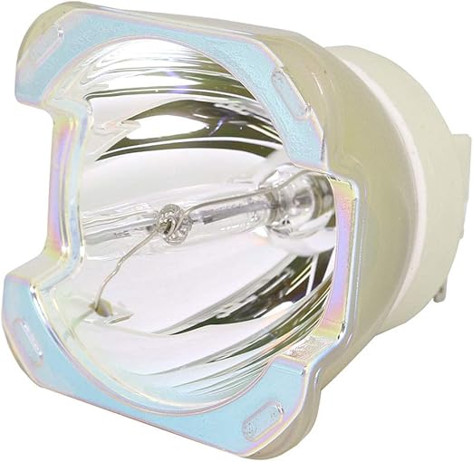 Amazon.com: Lutema Economy Bulb for Optoma BL-FU465A Projector (Lamp ...
