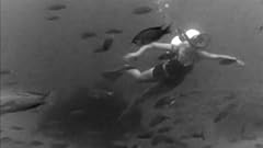 Amazon.com: Monster from the Ocean Floor: Roger Corman, David Garcia ...