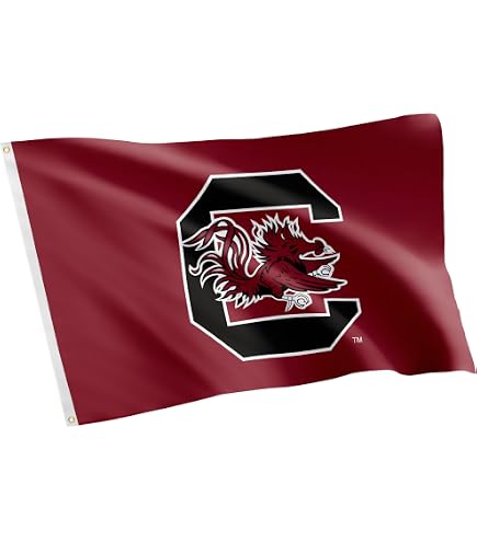 Usc Gamecocks Wordmark 3x5 Foot College Flag USC Gamecocks Wordmark ...