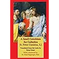 A Small Catechism for Catholics: Canisius, St. Peter, Grant, Ryan: 9780692288177: Amazon.com: Books