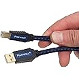 Amazon.com: Pangea Audio Premier USB Cable A to B - 1 Meter : Electronics
