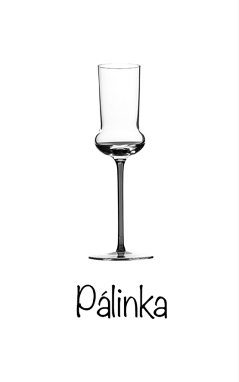 Palinka:Amazon.com:Appstore for Android