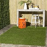 Outdoor Shag Rug