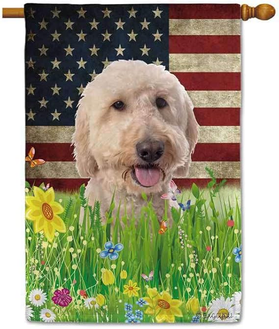 Amazon.com : BAGEYOU Cute Puppy Goldendoodle House Flag Lovely Pet Dog ...