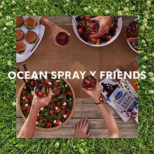 Ocean Spray Juice Drink, Cran-Grape, 10 Ounce Bottle (Pack of 6 ...