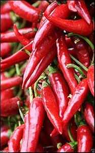 Amazon.com : Pulla Or Puya Chili, Chilli, Chile(30 Pepper Seeds ...