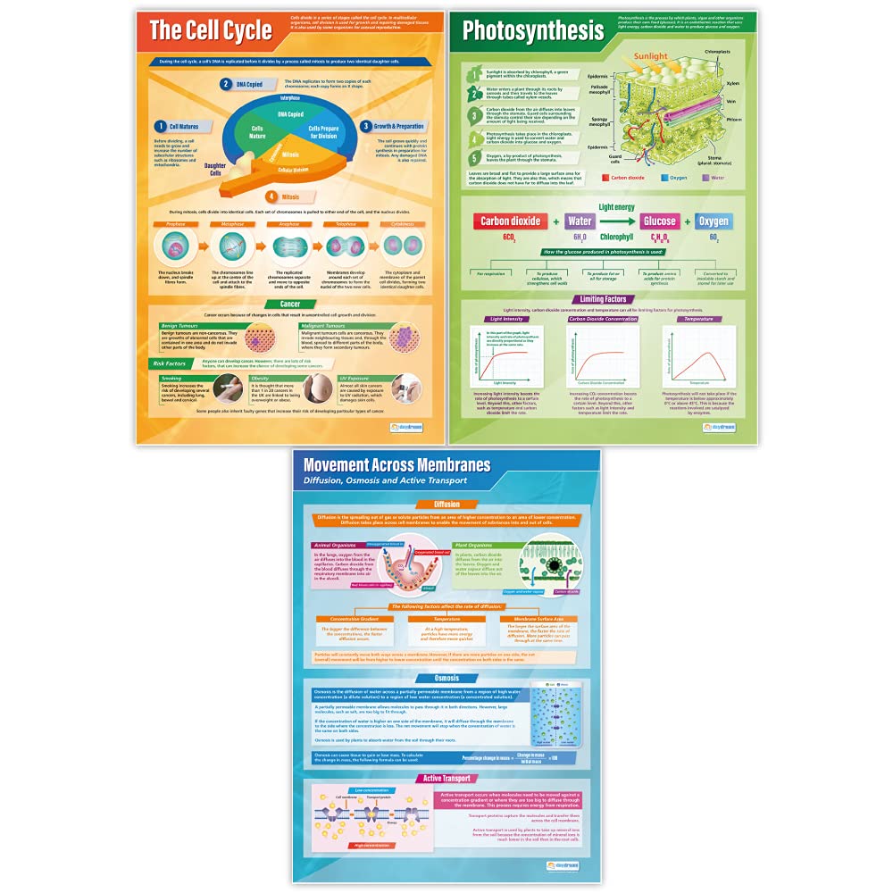 Mua Daydream Education Biology Educational Science Posters – Set of 13 ...