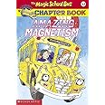 Amazing Magnetism (Magic School Bus Chapter Book #12): Carmi, Rebecca ...