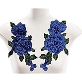 Amazon.com: YABINA 2PC 9X 5.11 Inch 3D Embroidery Rose Flower Iron on ...