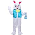 Amazon.com: Happy Easter Bunny Costume Adult Cartoon Plush Easter ...