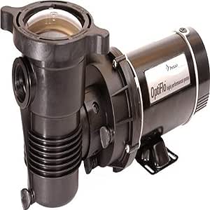 Amazon.com : Pentair 340070 OptiFlo Vertical Discharge Two Speed Motor ...