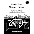 Interpretable Machine Learning: A Guide For Making Black Box Models ...