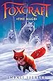The Mage (Foxcraft, Book 3): Inbali Iserles: 9780545690874: Amazon.com ...