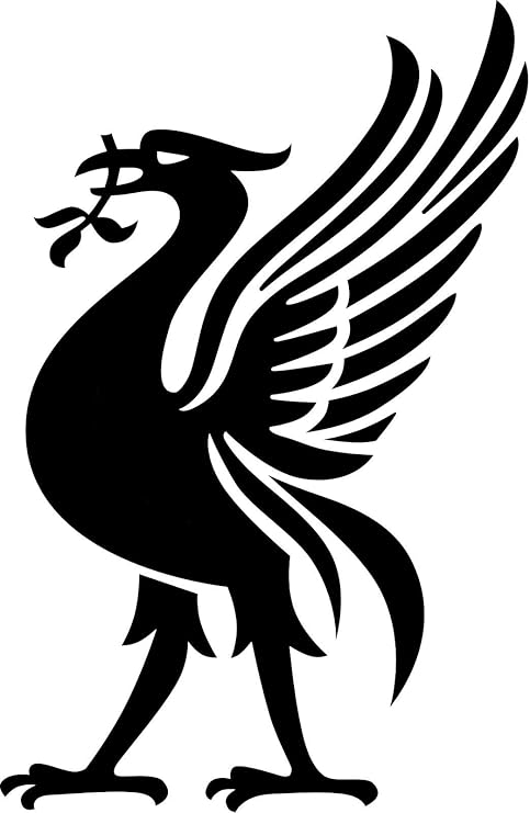 Liverbird A4 190 Micron Mylar Stencil: Amazon.co.uk: Kitchen & Home