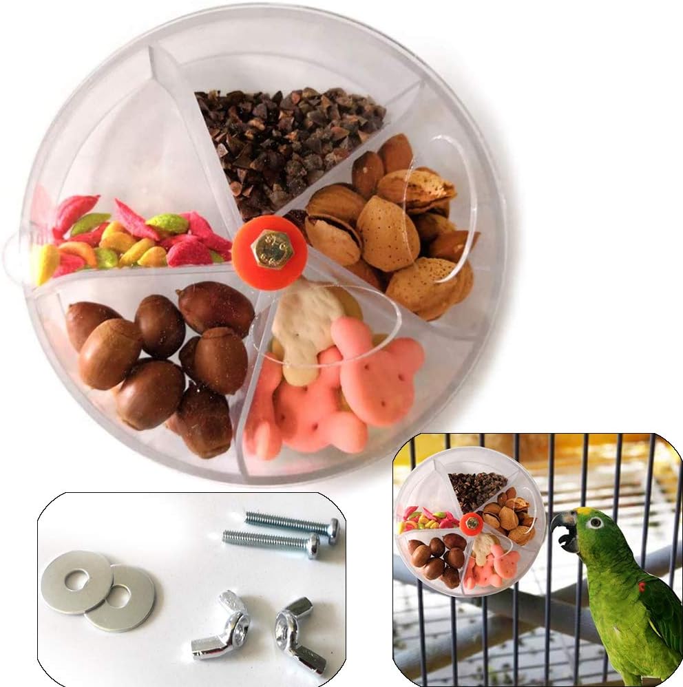 Sqxaldm Rotate Intelligence Training Toy Bird Foraging Seed Food Wheel ...