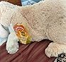 Amazon.com: Folkmanis Floppy Bunny Rabbit Hand Puppet, Tan, White, 1 EA ...