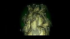 The Wyrm King (Beyond the Spiderwick Chronicles, Book 3): Black, Holly ...