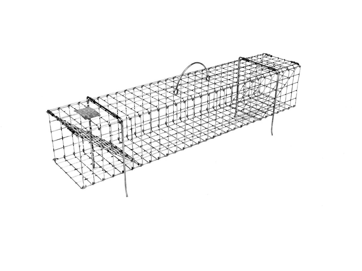 Tomahawk Live Trap shop Oman | Buy Tomahawk Live Trap products online ...