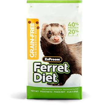 Best Food for Ferrets - We're All About Pets