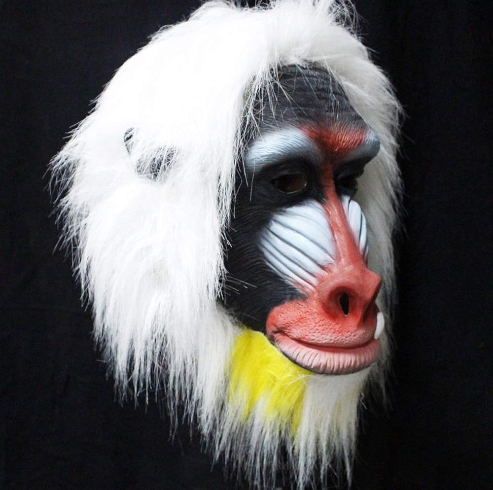Baboon Mask Fancy Dress Fun for Events and Parties Animal Jungle Fun ...