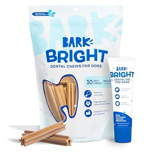 Barkbox Bark Bright Core Dental Chews Kit – Dog Tooth Brushing Kit with ...