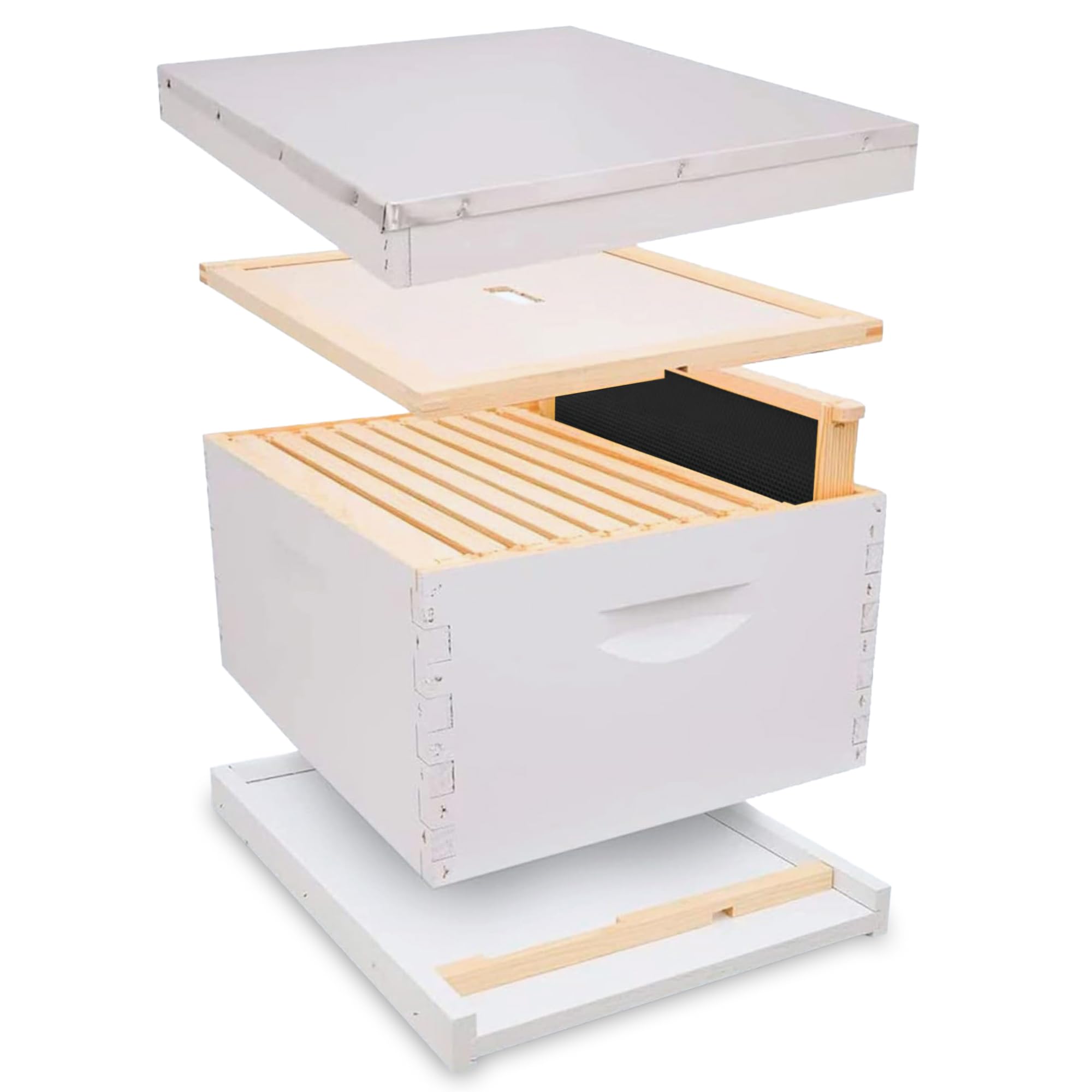 Hive Kits Bahrain | Buy Online | Whizz Others