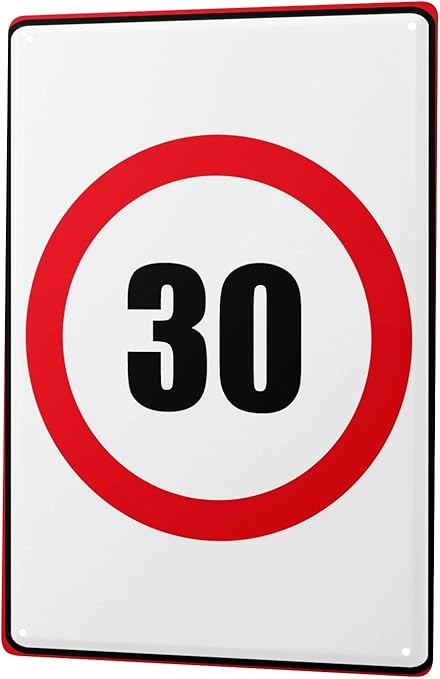 LEotiE SINCE 2004 Blechschild Warnschild Geburtstagskarte Geburtstag 30 ...