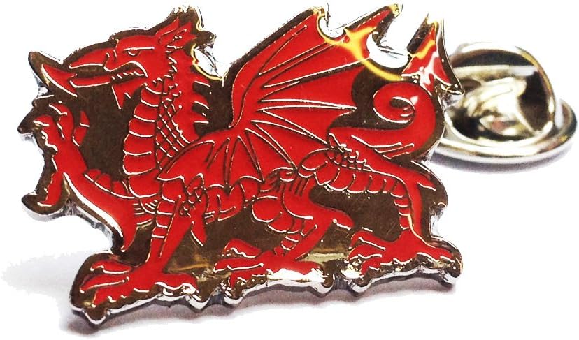 Wales Welsh Dragon Metal Pin Badge (ref:newpnd): Amazon.co.uk: Garden ...