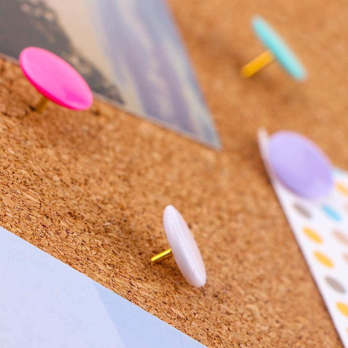 100 Pcs Colorful Decorative Drawing Pins for Photo Wall Feature Wall ...