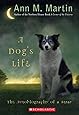 A Dog's Life: Autobiography of a Stray: Ann M. Martin: 9780439717007 ...