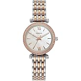 Amazon.com: Fossil Women's Virginia Quartz Stainless Steel and Acetate ...
