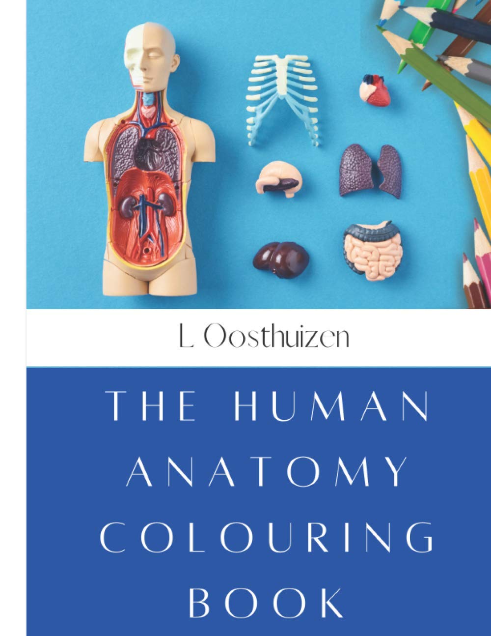 Mua Human Anatomy Colouring Book: Anatomy Colouring Book for Students ...