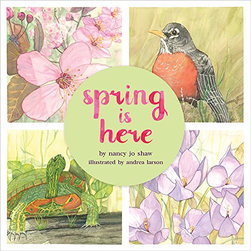 Spring is Here: Nancy Jo Shaw, Andrea Larson: 9781592986620: Amazon.com ...