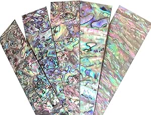 Amazon.com: Tong Gu 1X Natural Green/Blue Abalone Shell Blanks Inlay ...