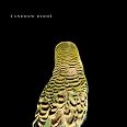 Andrew Bird - Armchair Apocrypha [Vinyl] - Amazon.com Music