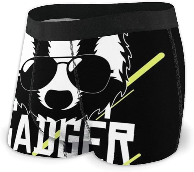 Custom Funny Honey Badger Hipster Men’s Boxer Briefs Underpants at ...