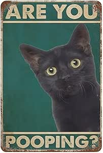 Amazon.com: EYSL are You Pooping Cat Bathroom Funny Novelty Funny Metal ...