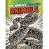 World's Deadliest Animals: Amazon.co.uk: Matt Roper: 9781849533034: Books