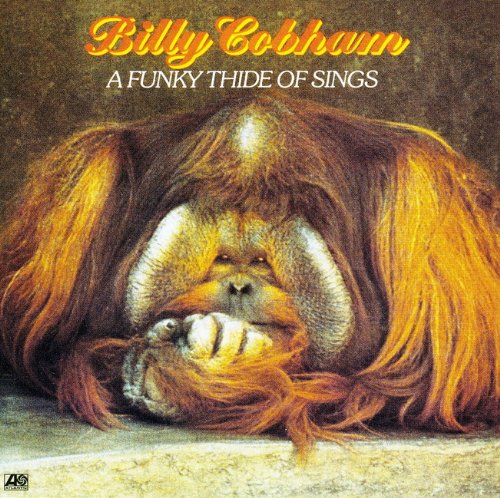 Funky Thide of Sings: Billy Cobham: Amazon.fr: Musique