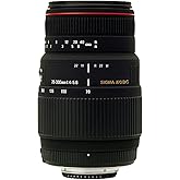 Amazon.com : Sigma 70-300mm f/4-5.6 DG Macro Telephoto Zoom Lens for Canon SLR Cameras : Camera ...