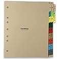 Amazon.com : Carstens Heavy Duty Plastic Monthly Divider Set, 12-Tab ...