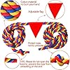 Field Day Tug of War Rope for Kids and Adults, Outdoor Lawn Yard Family ...