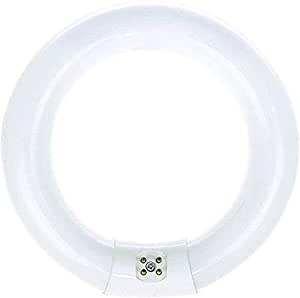 Bulbmaster FC8T9/D 22 Watts 8 Inch Round T9 Fluorescent Circular Light ...