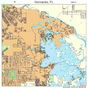 Amazon.com: Large Street & Road Map of Hernando, Florida FL - Printed ...