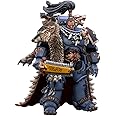 Amazon.com: JOYTOY Warhammer 40,000 1/18 Action Figure Space Wolves ...