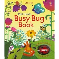 Pull-Back Busy Santa Book: Watt, Fiona, Sanfilippo, Simona, Russell ...