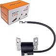 Amazon.com: IGCLINIC 799310 Armature Magneto Ignition Coil Replaces ...