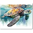 Amazon.com: Paint by Numbers Sea Turtle, Abstract Paint by Number ...